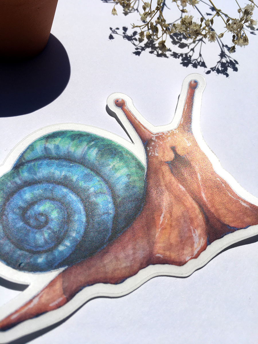 Snail Sticker - The Spectral Studio
