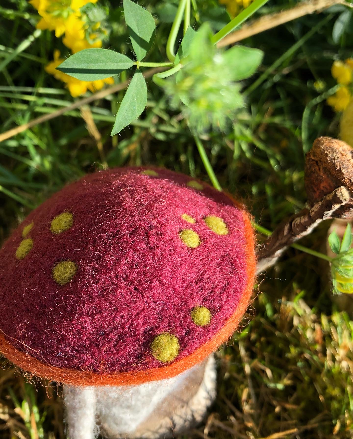 Gimli - The Spectral Studio